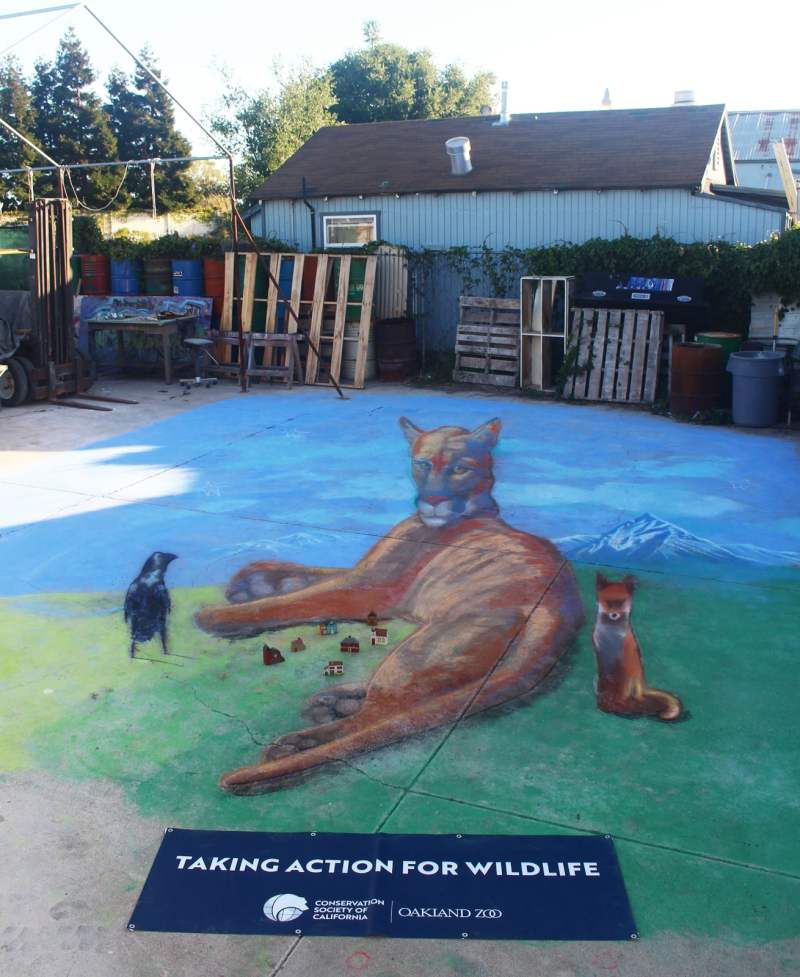 Updates from Drawing on Earth – Drawing on Earth: Chalk Drawing, Street ...